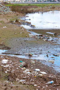 Tijuana River Project